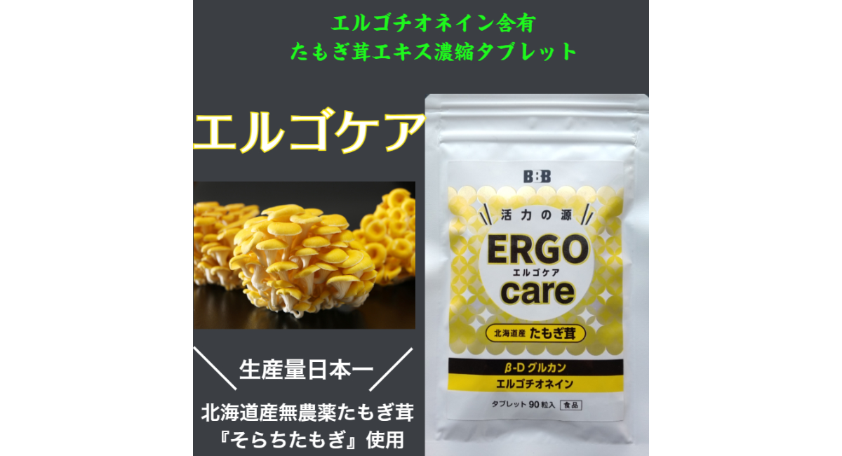 エルゴケア(ERGO care)4月22日 新発売のお知らせ - 株式会社スリービーのプレスリリース